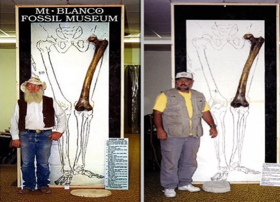 A giant human femur bone in mt blanco fossil museum texas - UFO FEED