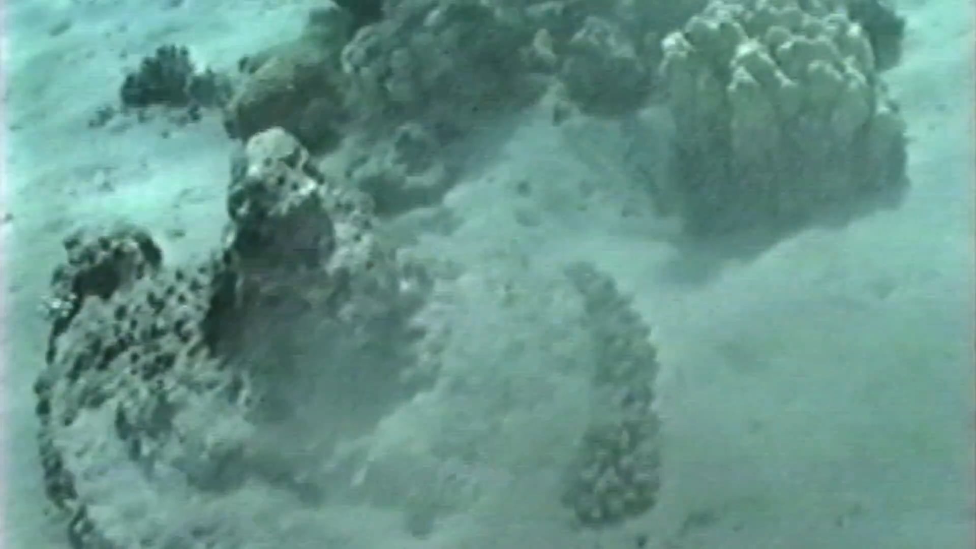 The Exodus Explored Wheel In The Sand 2017 Ufo Feed