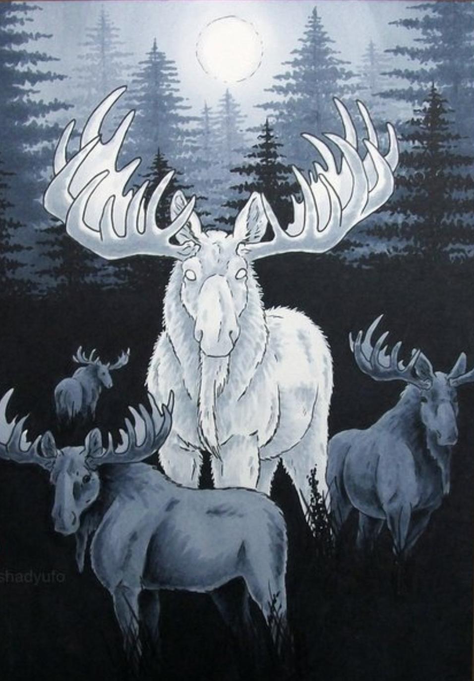 Maine is the home to sightings of the Specter Moose, a giant 15 foot ...