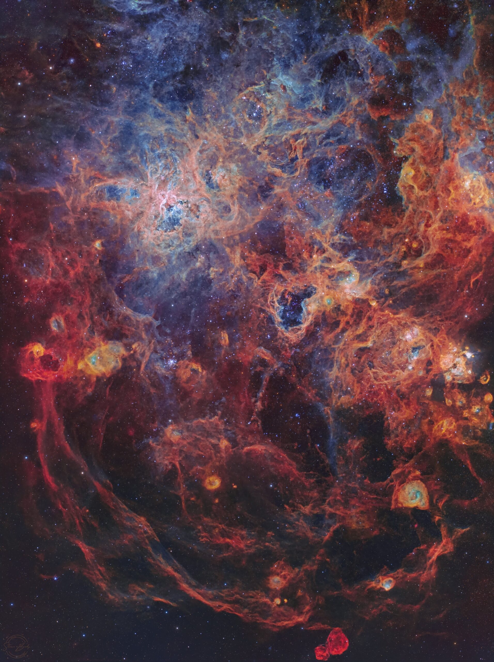 The Majestic Tarantula Nebula is a Southern Hemisphere gem nestled in ...
