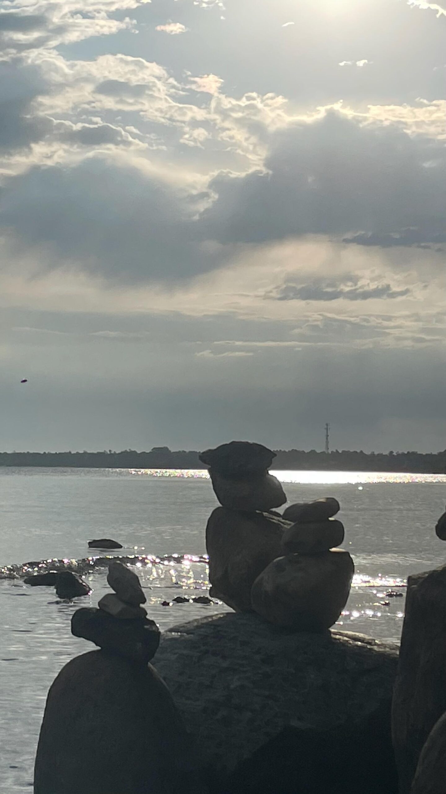 UFO sighting on camera? – UFO FEED