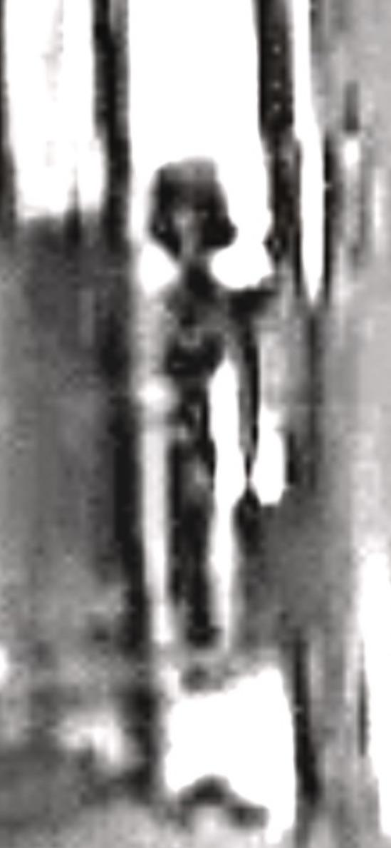 This is a ai enhanced pic from op who caught alien on camera - UFO FEED