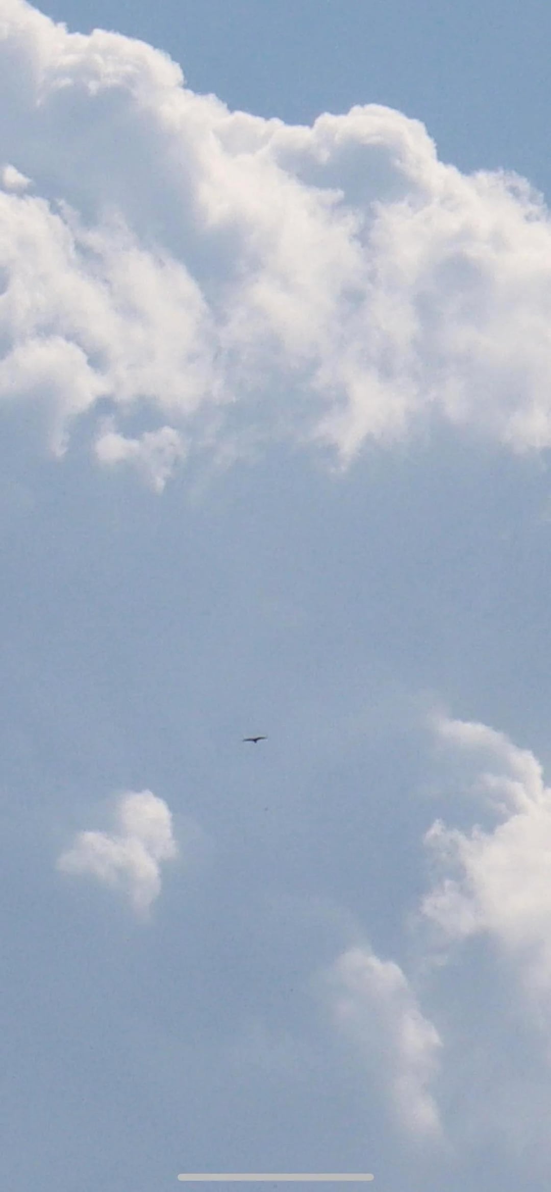Re-upload of the UFO photos that were deleted earlier today - UFO FEED