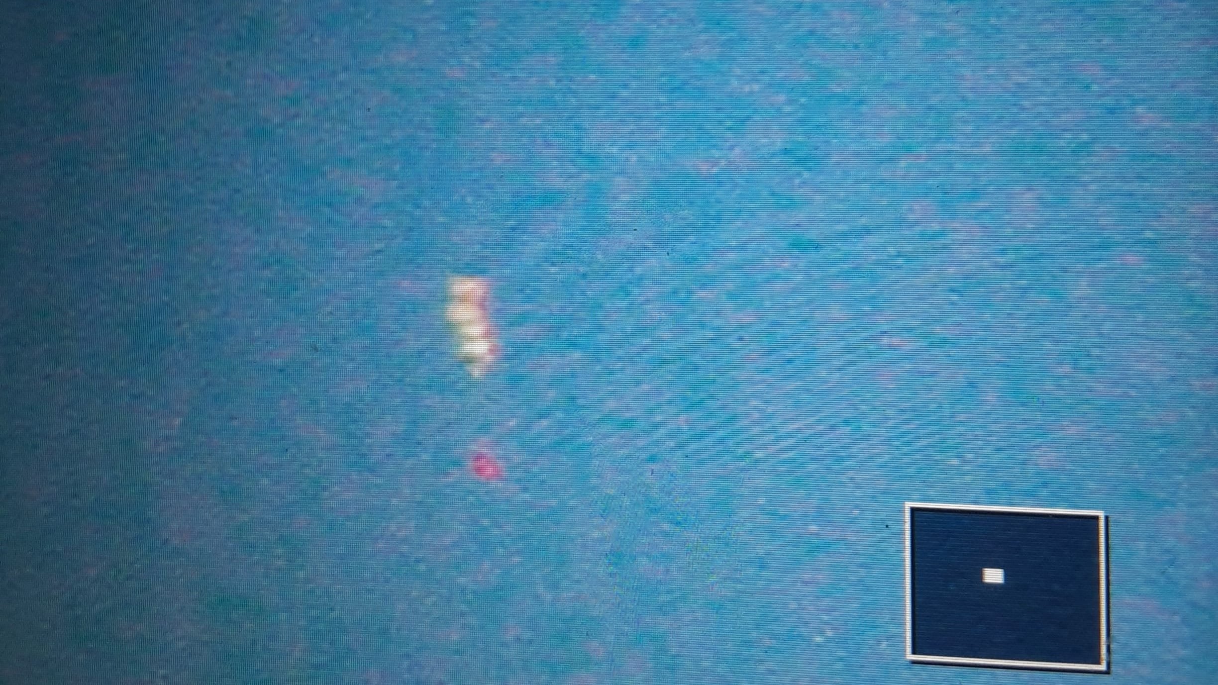 'We have no explanation': See list of US states with the most reported ...