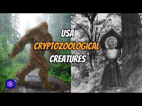 The World of USA Cryptids: Unveiling the Top 10 Mysterious Creatures ...