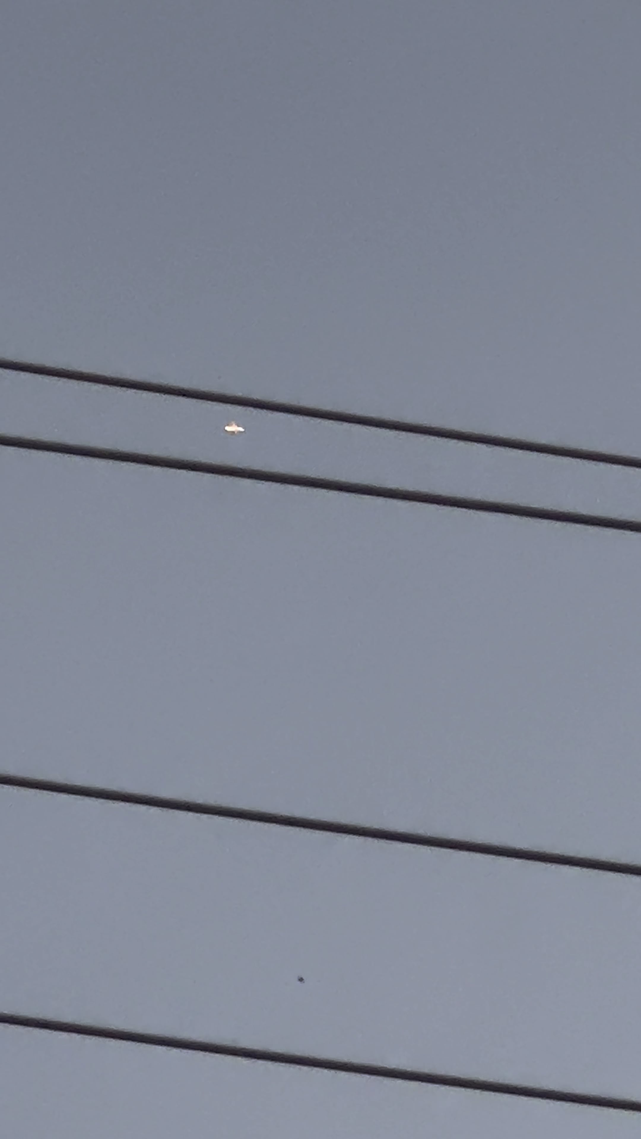 UAP sighting - UFO FEED