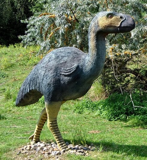 The pach-an-a-ho is an American cryptid described as a giant three toed ...