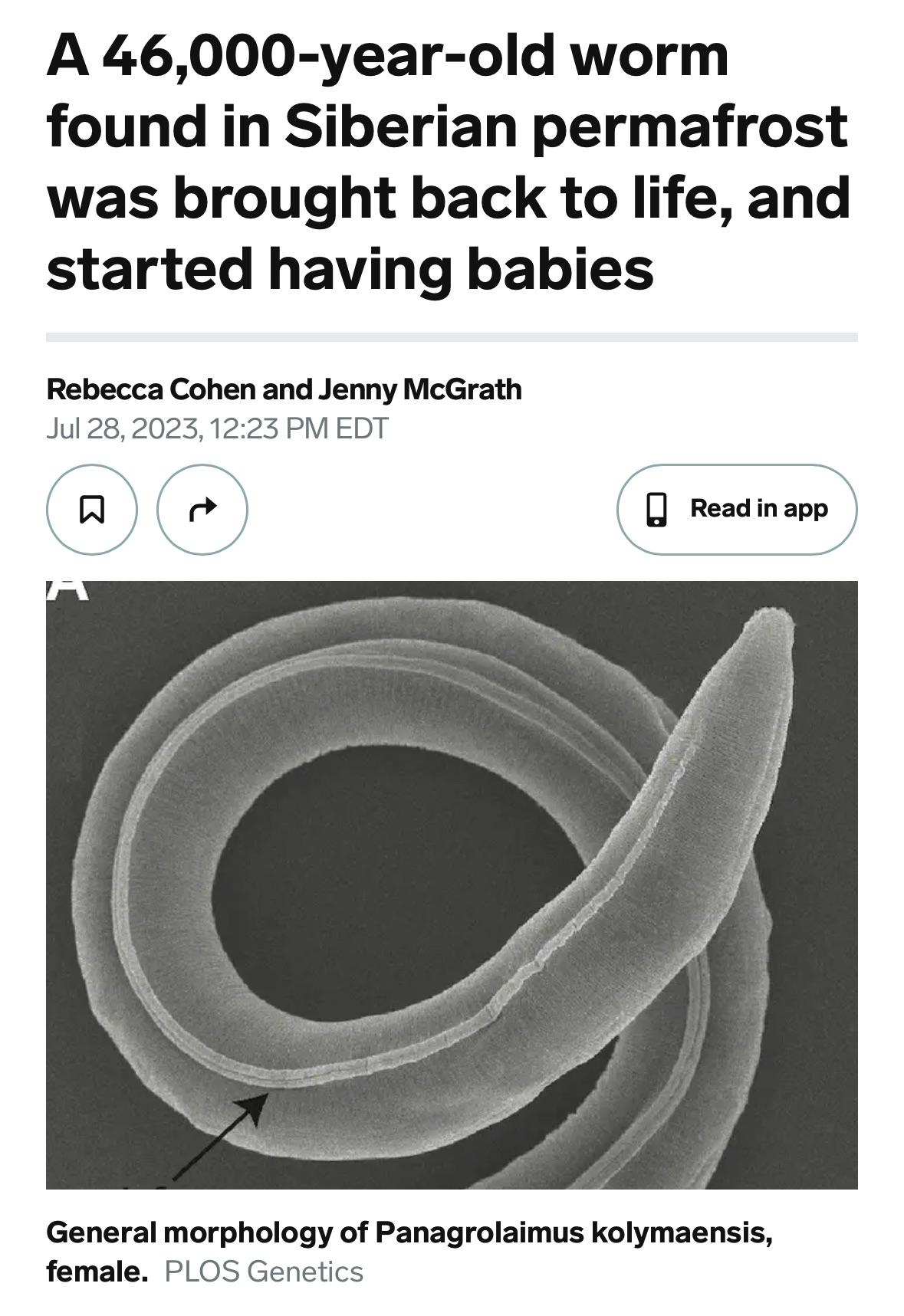 46,000 year old worm revived after being frozen for thousands of years ...