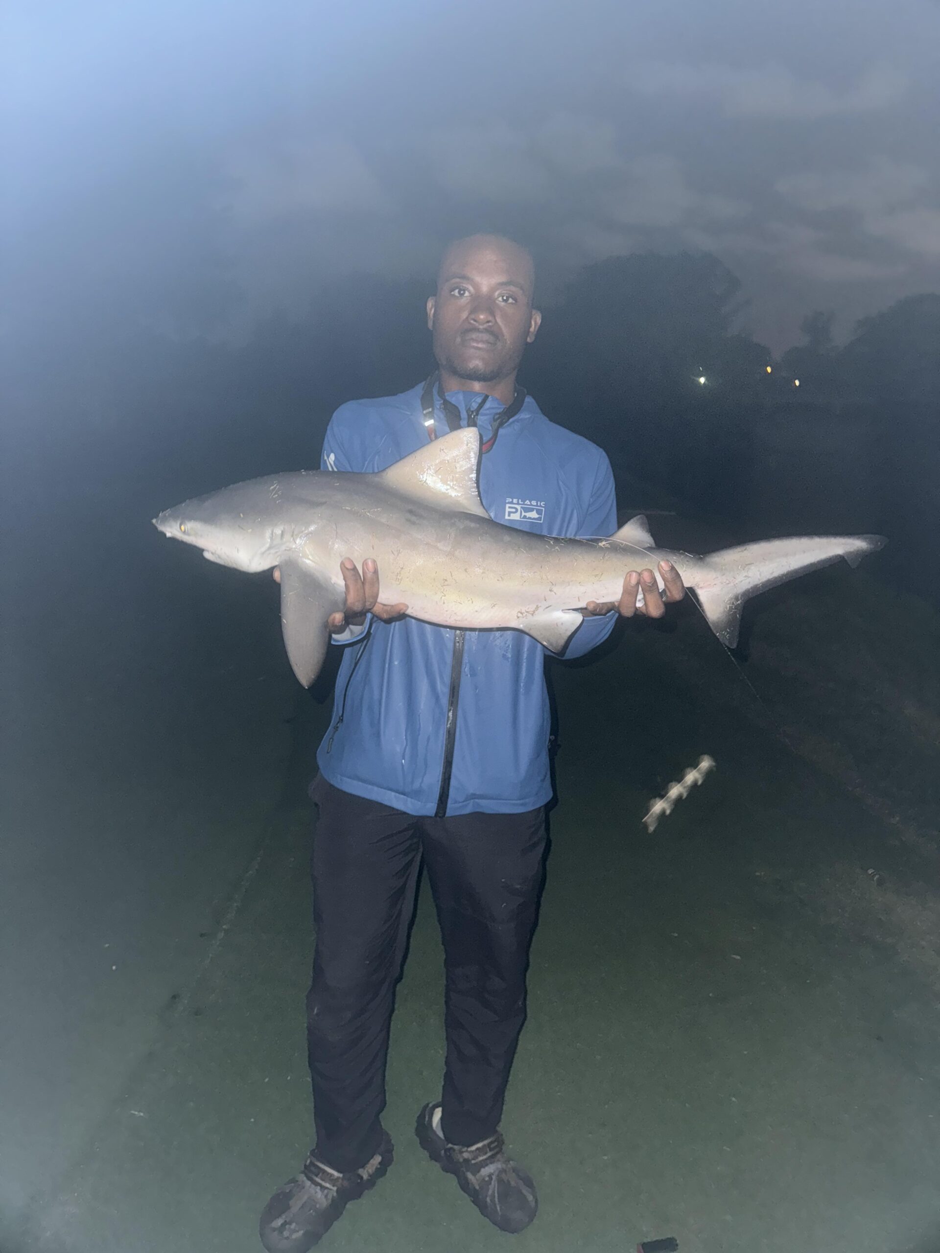 Great example of flying rod illusion – UFO FEED