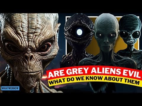 Are Grey Aliens Evil - What Do We Know About Them? The earliest account ...