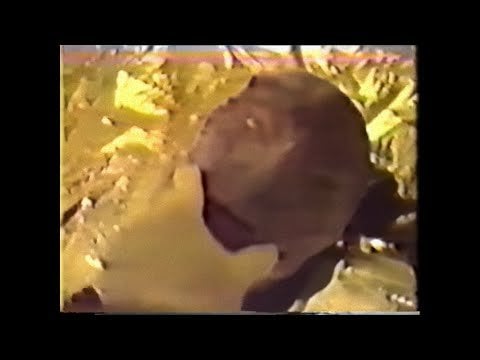 1996 Dr Jonathan Reed Alien Story - UFO FEED