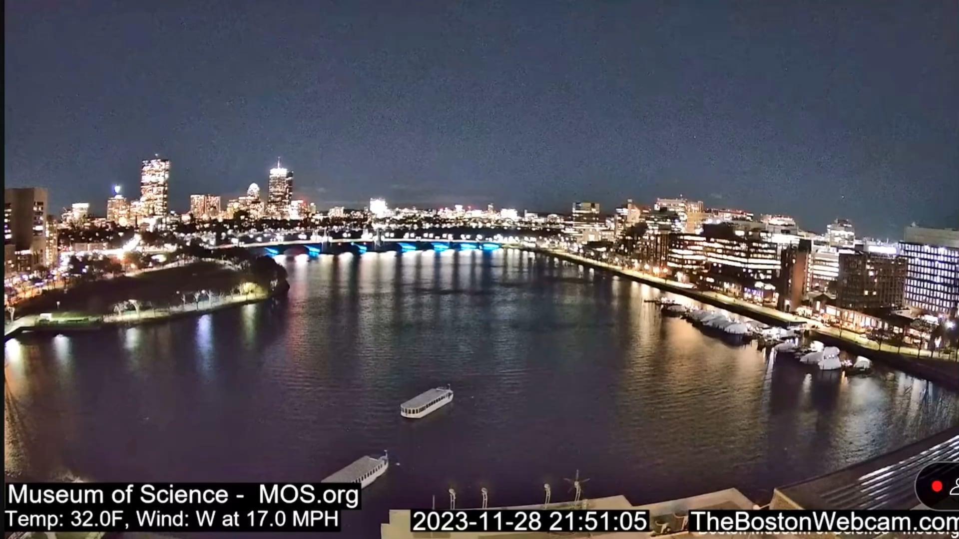 Found on the Boston Museum live cam feed on YouTube - can anyone identify what these flying ...