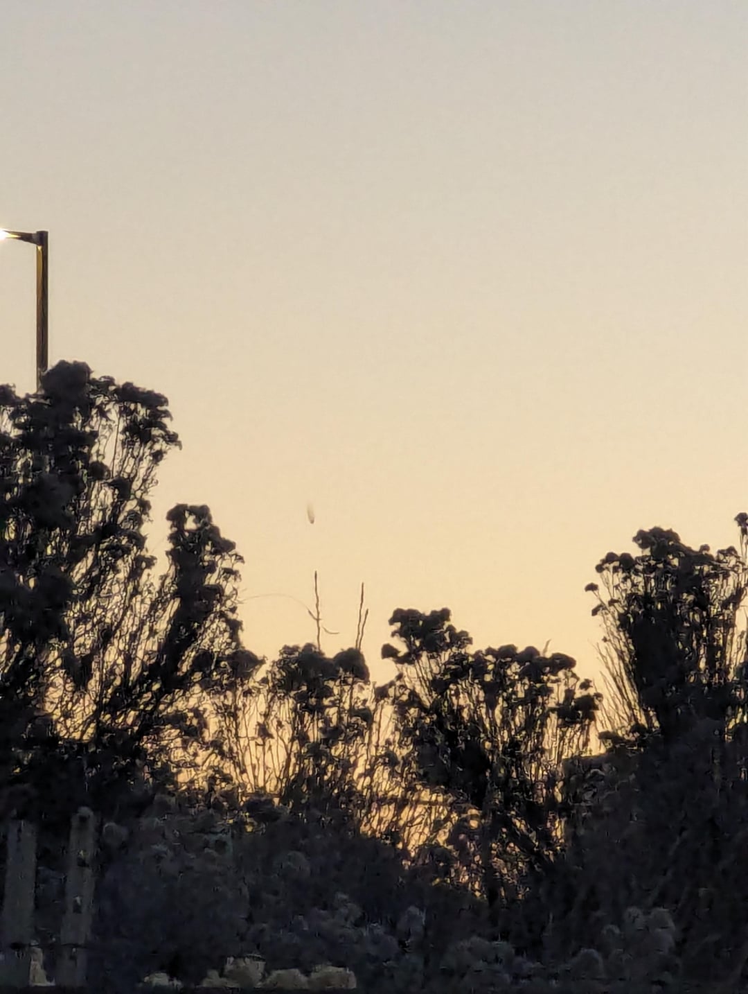 Strange object, help identify? - UFO FEED