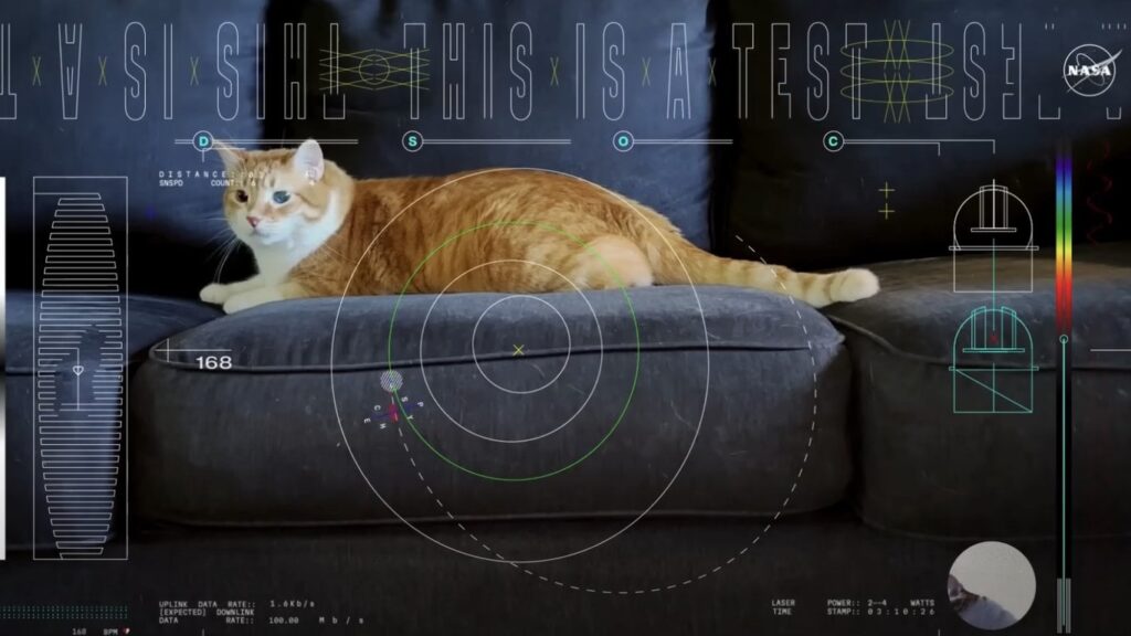NASA streams cat video from deep space using laser - UFO FEED