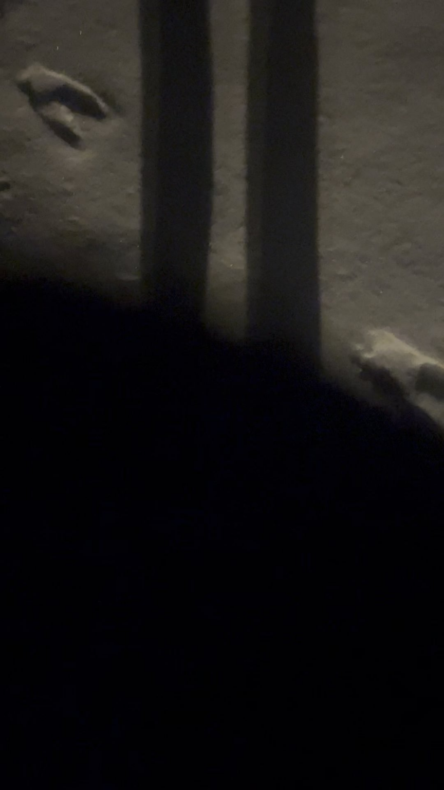 The vid - UFO FEED