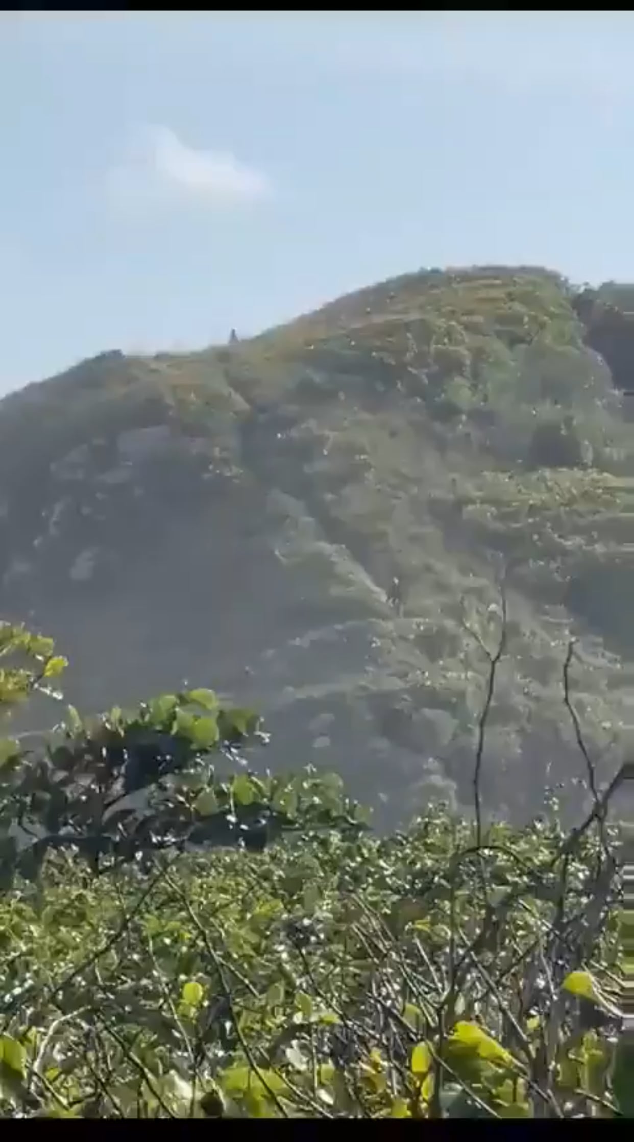 9 foot creatures spotted in Brazil – UFO FEED