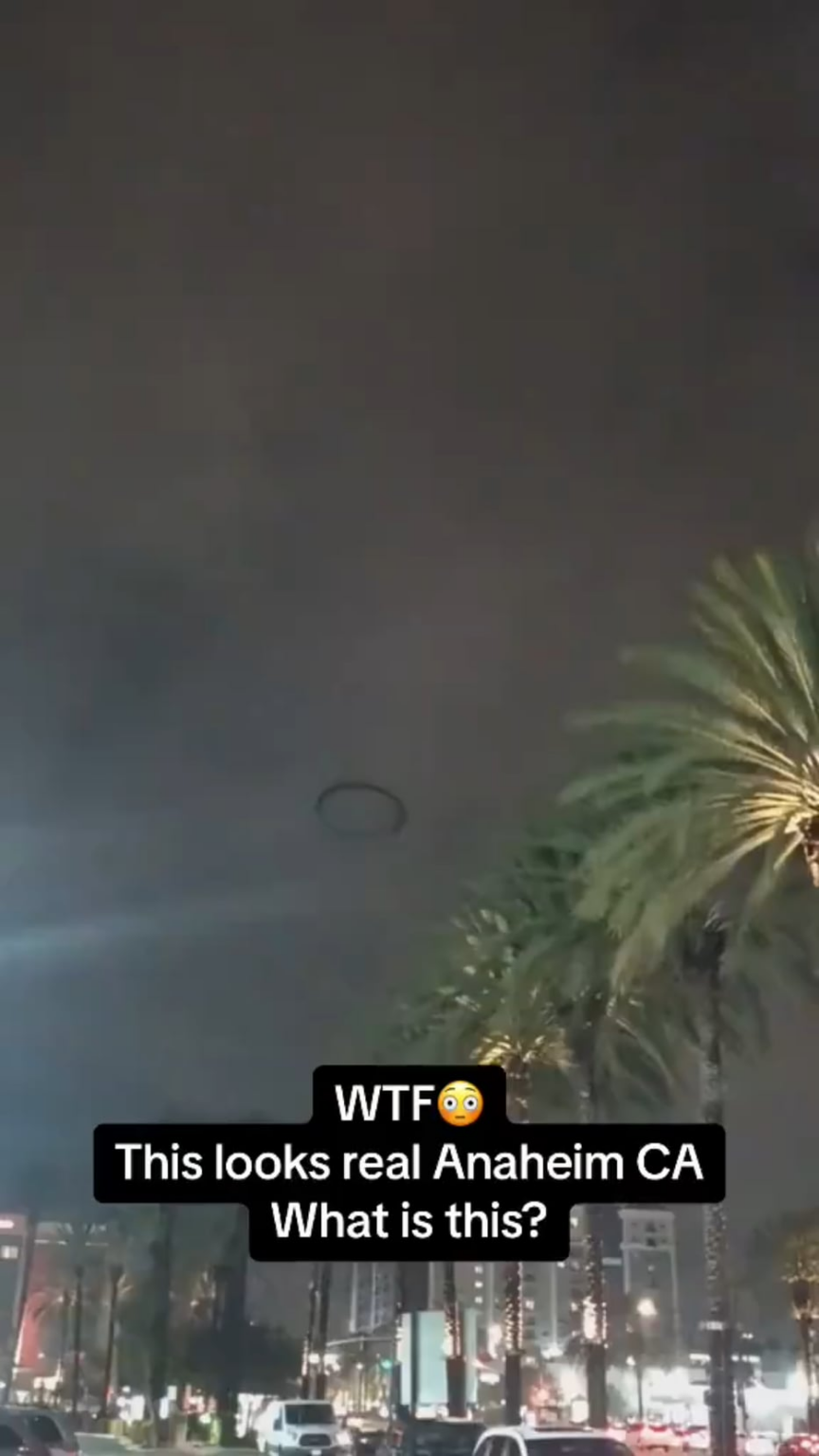 Is it real or is it all an elaborated hoax? - UFO FEED