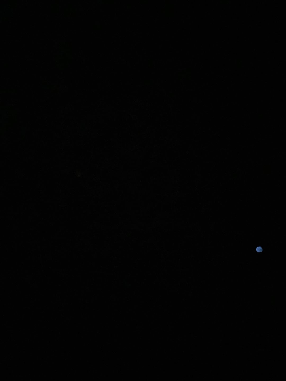 Need help identifying – UFO FEED