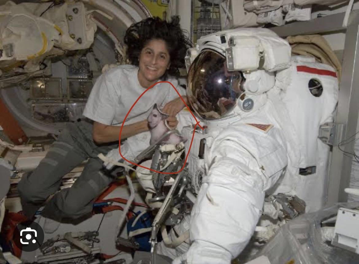 Help to identify the object – UFO FEED