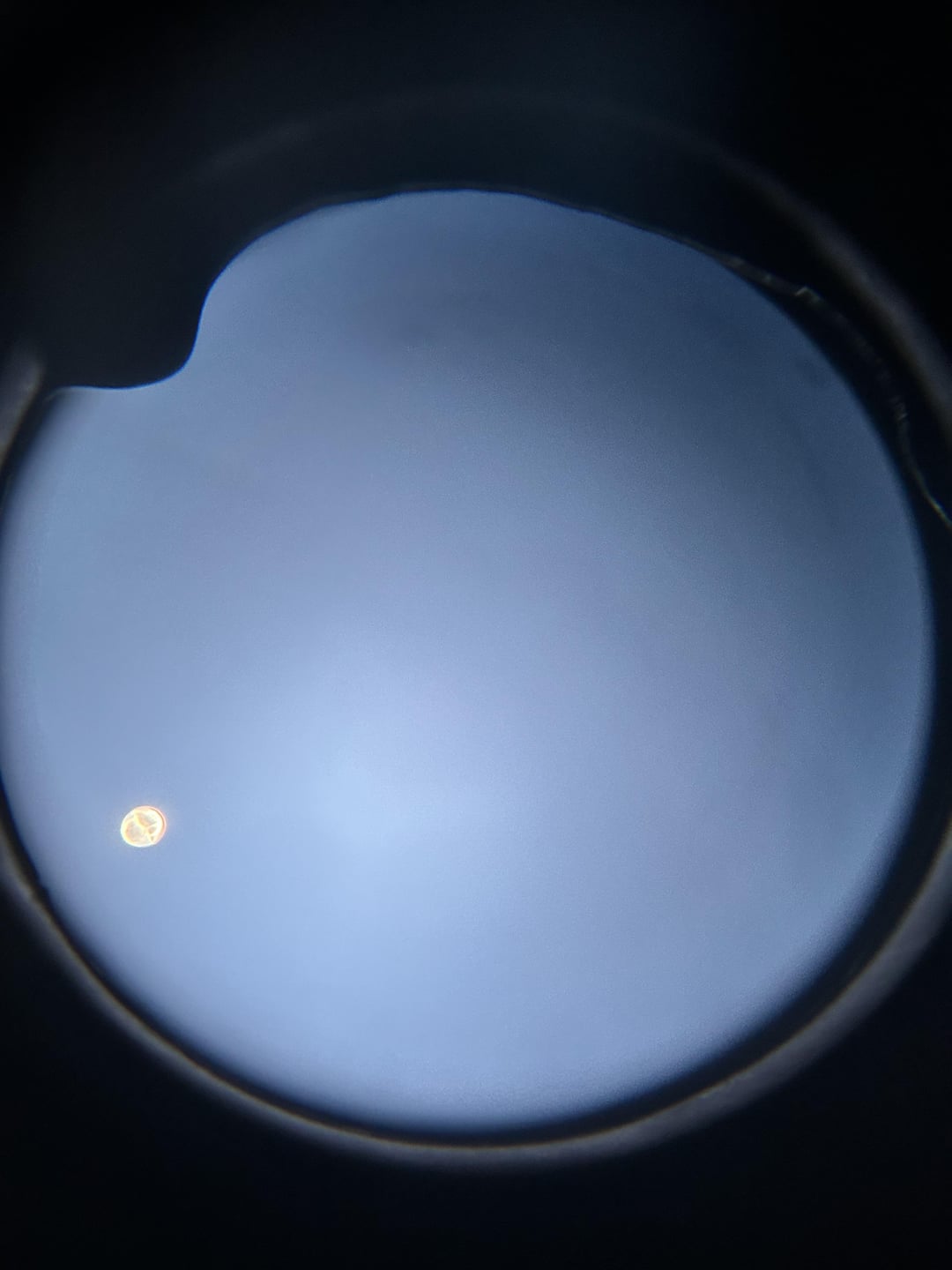 Can anyone identify? – UFO FEED