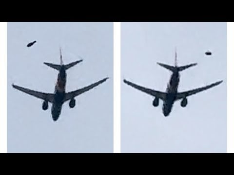 Fast-Flier UAP vs. Bird – UFO FEED