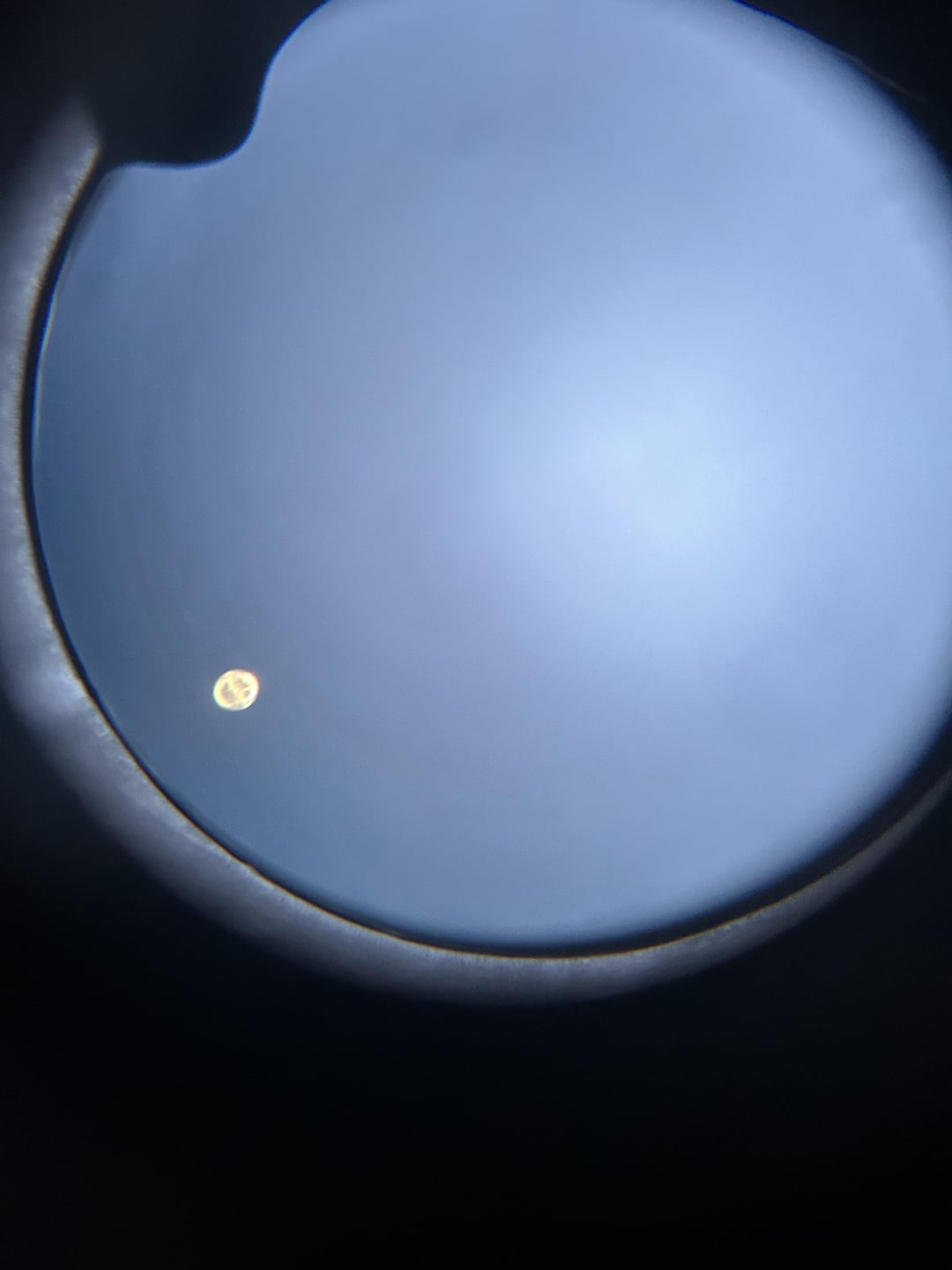 Can anyone identify? - UFO FEED