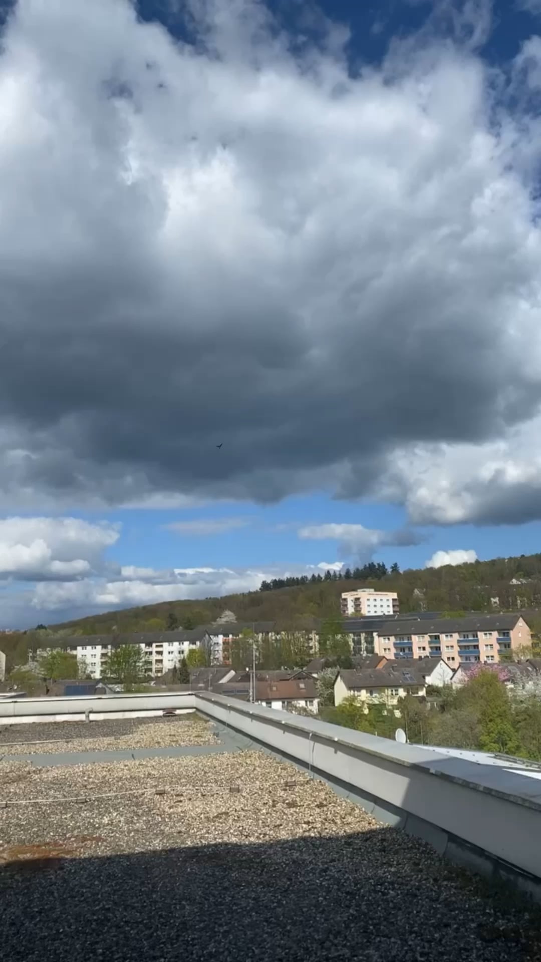 German Jet, Bird and another thing? – UFO FEED