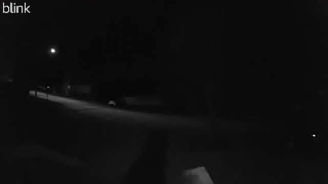 Need help identifying object - UFO FEED