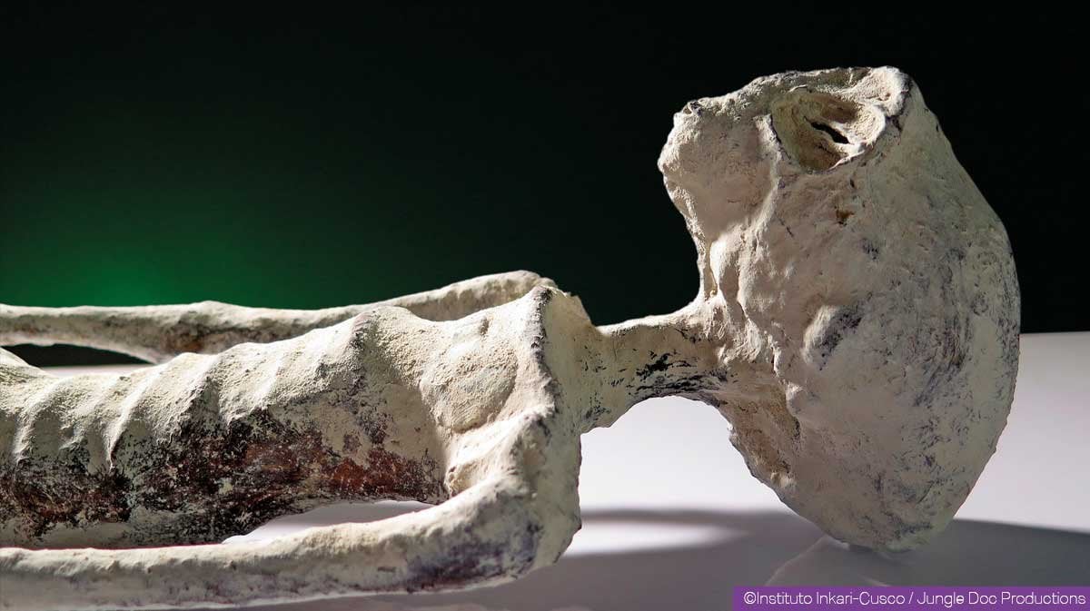 Nazca Mummies: the most important piece of evidence in my opinion - UFO ...