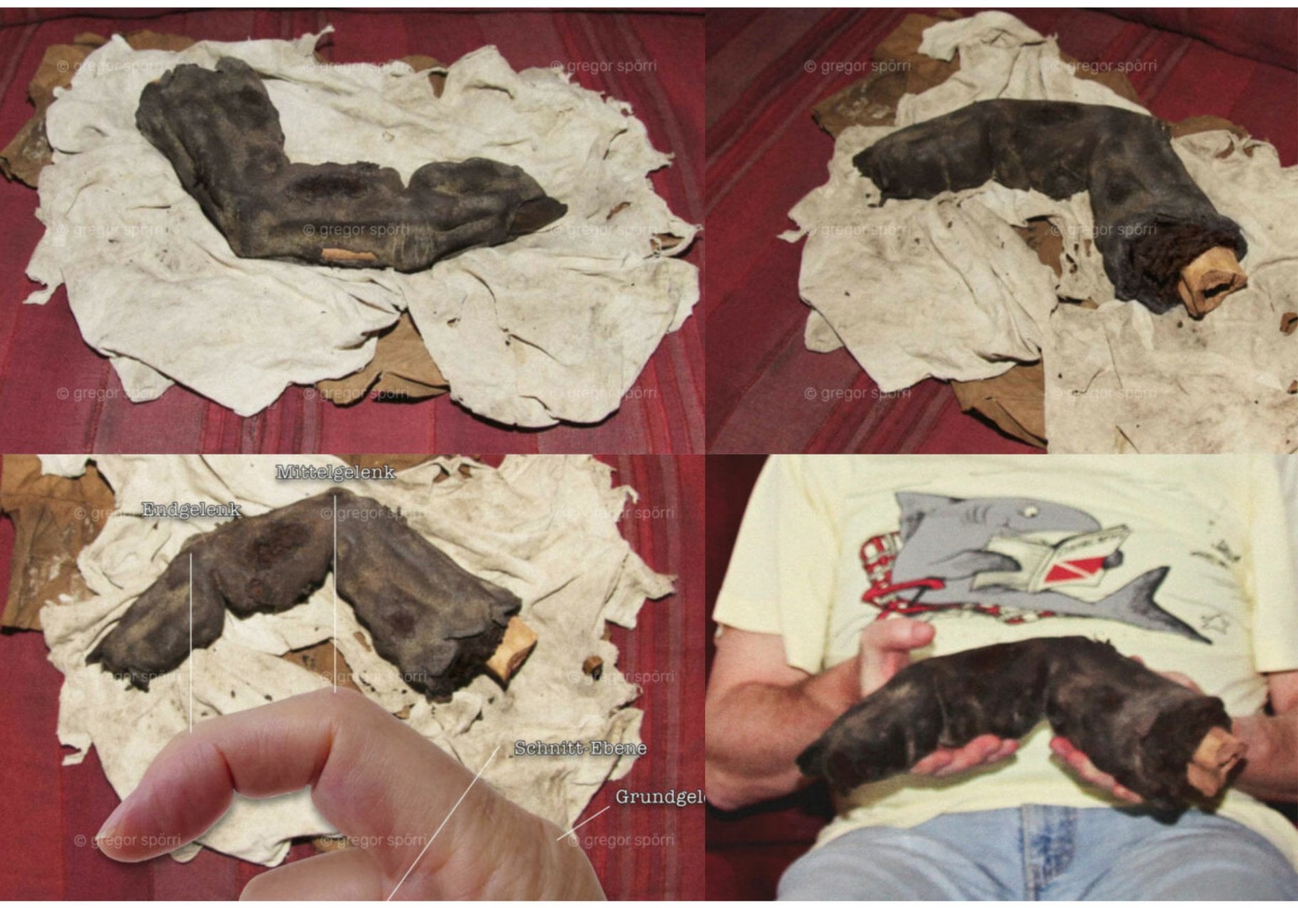 The story of the giant finger in Wadi Natroun in Egypt – UFO FEED