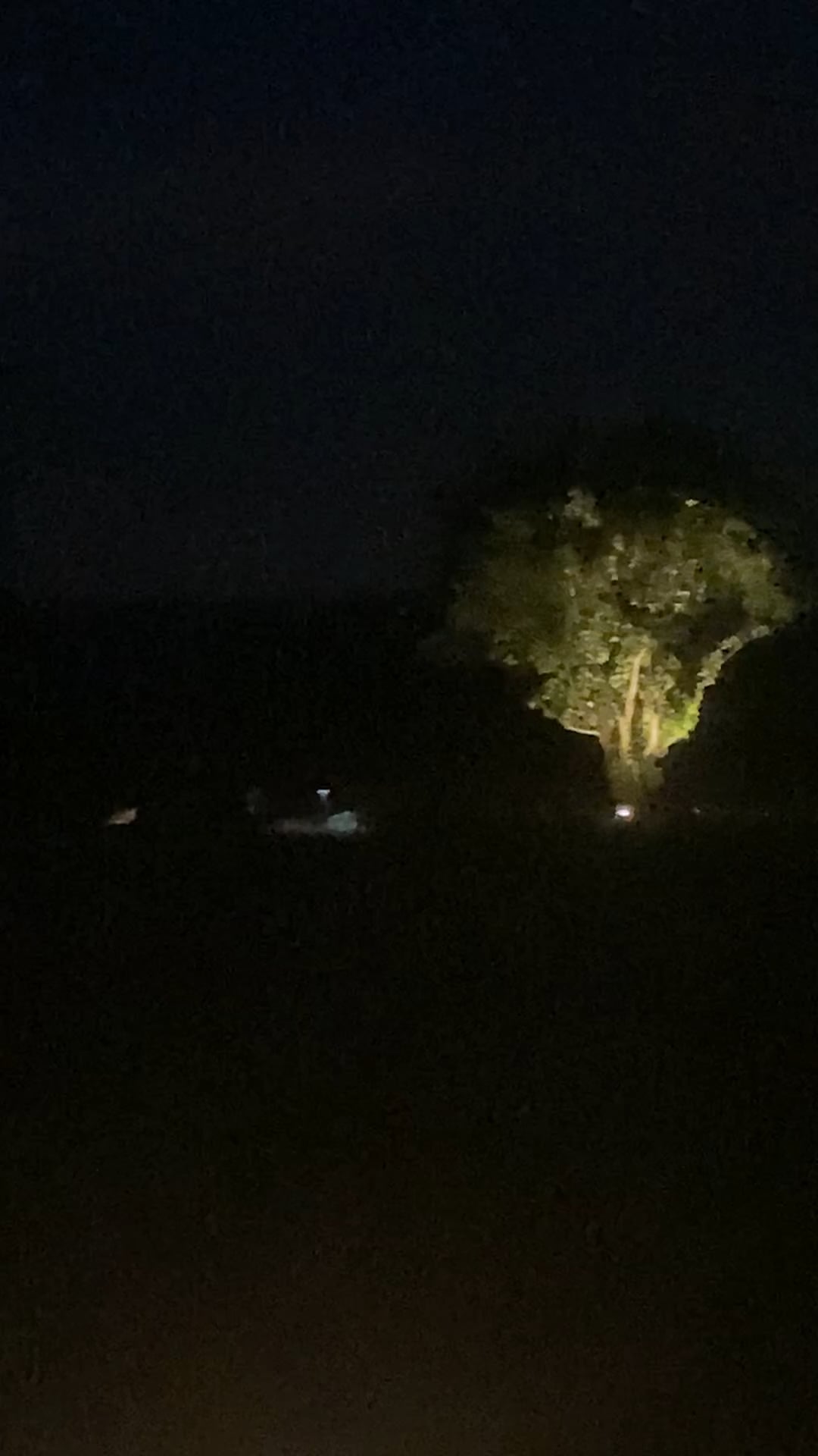 Incredibly weird light in the sky - UFO FEED