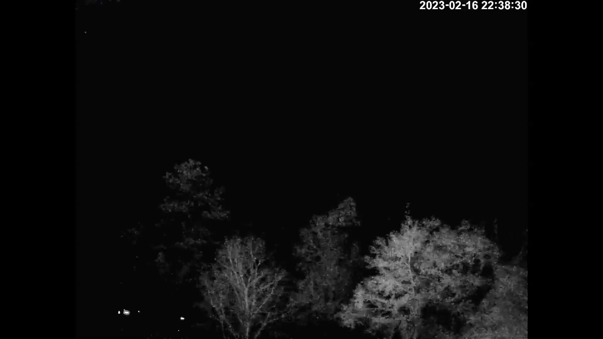 Orb Light Show, courtesy of RangerH338 – UFO FEED