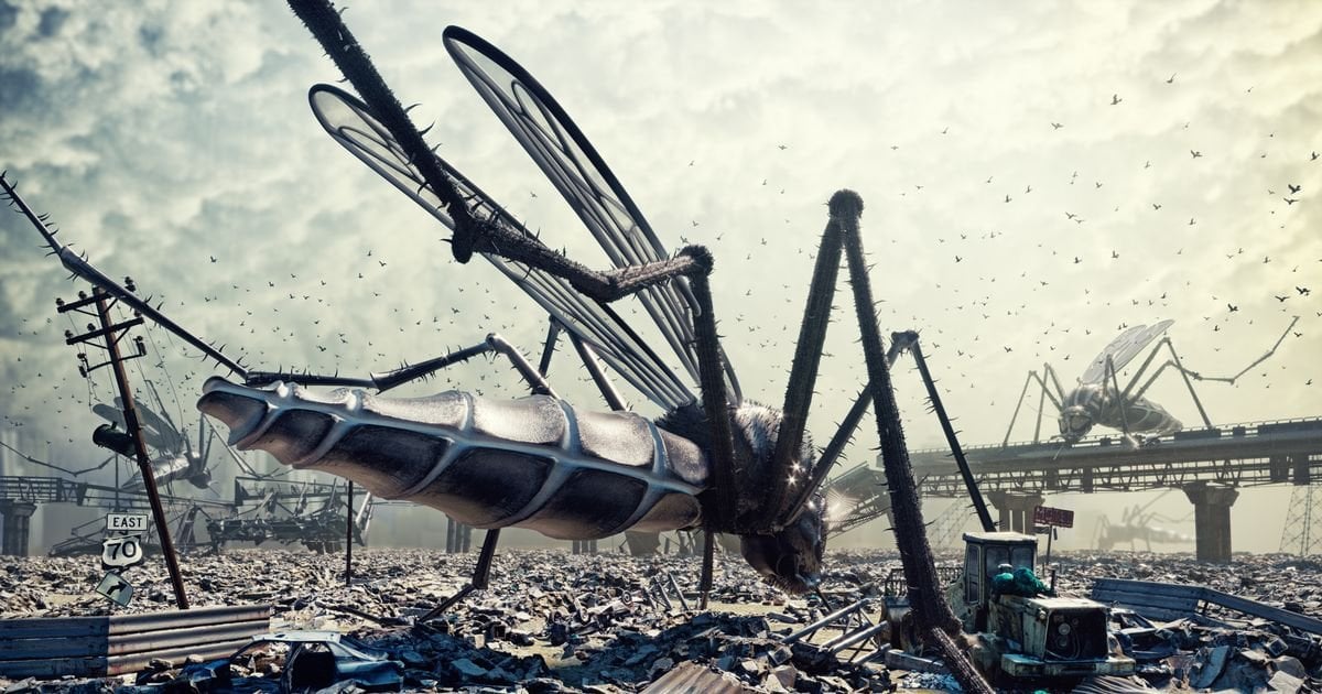 We made headlines at the Daily Star with the Giant Ant Theory - UFO FEED