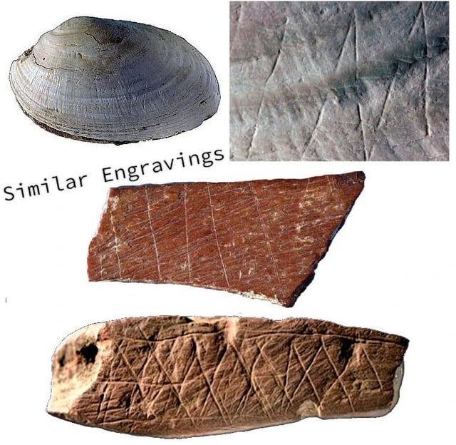 500,000 Year Old Homo Erectus Shell Engravings – UFO FEED