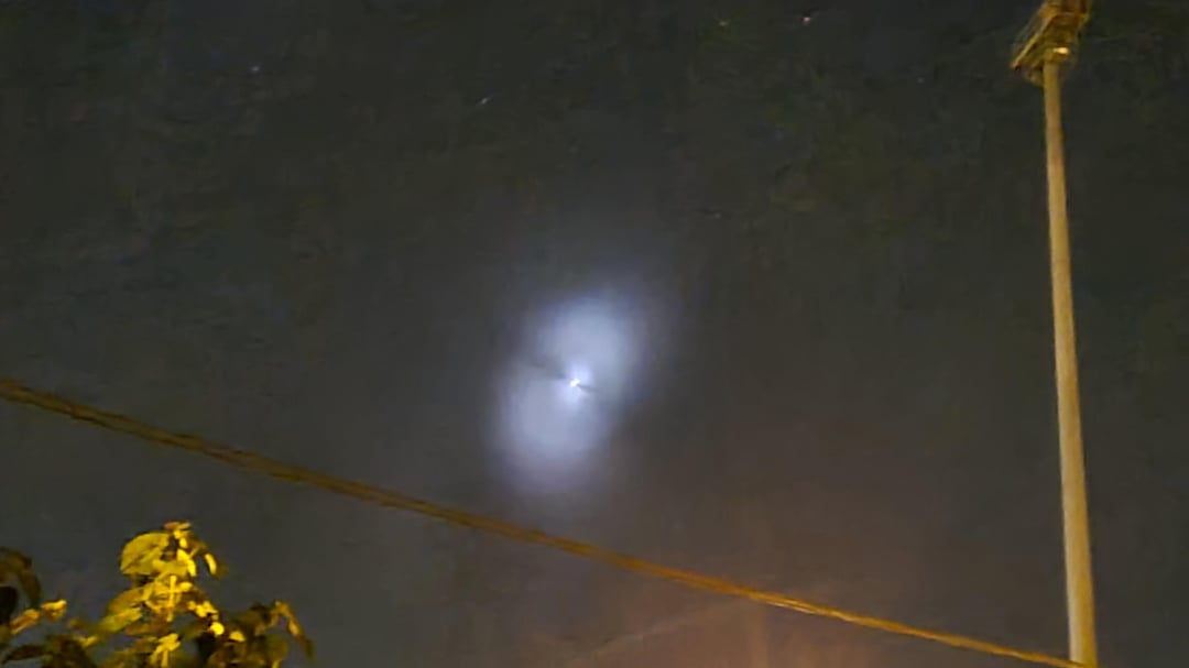 Help me identify what I have seem - UFO FEED