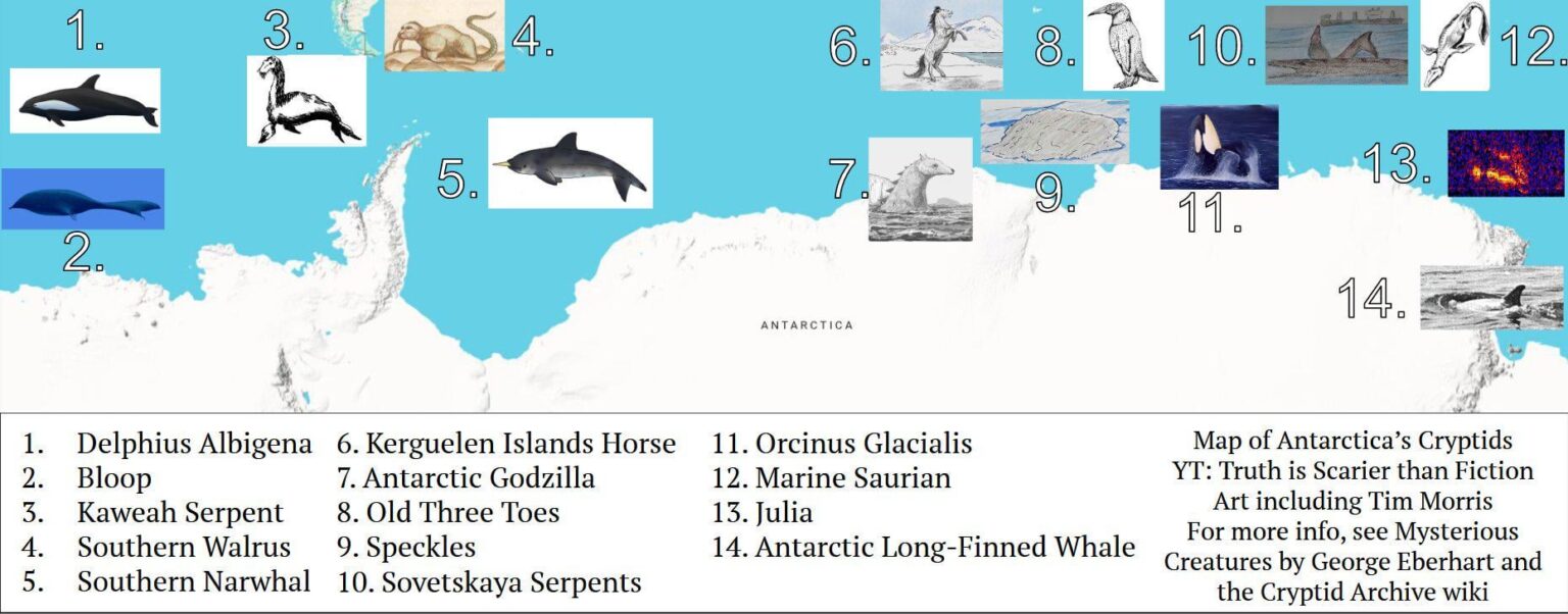 The Cryptids of Antarctica - UFO FEED