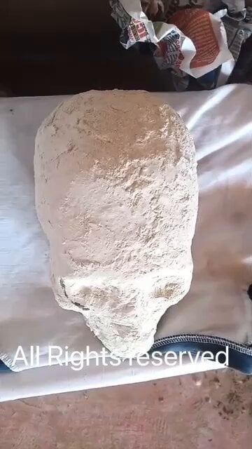 American forensic team reveal the 3 new non-human bodies discovered ...