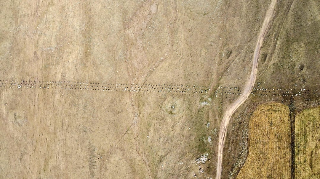 The Hartashen Megalithic Avenue, a mostly unknown site in a remote ...