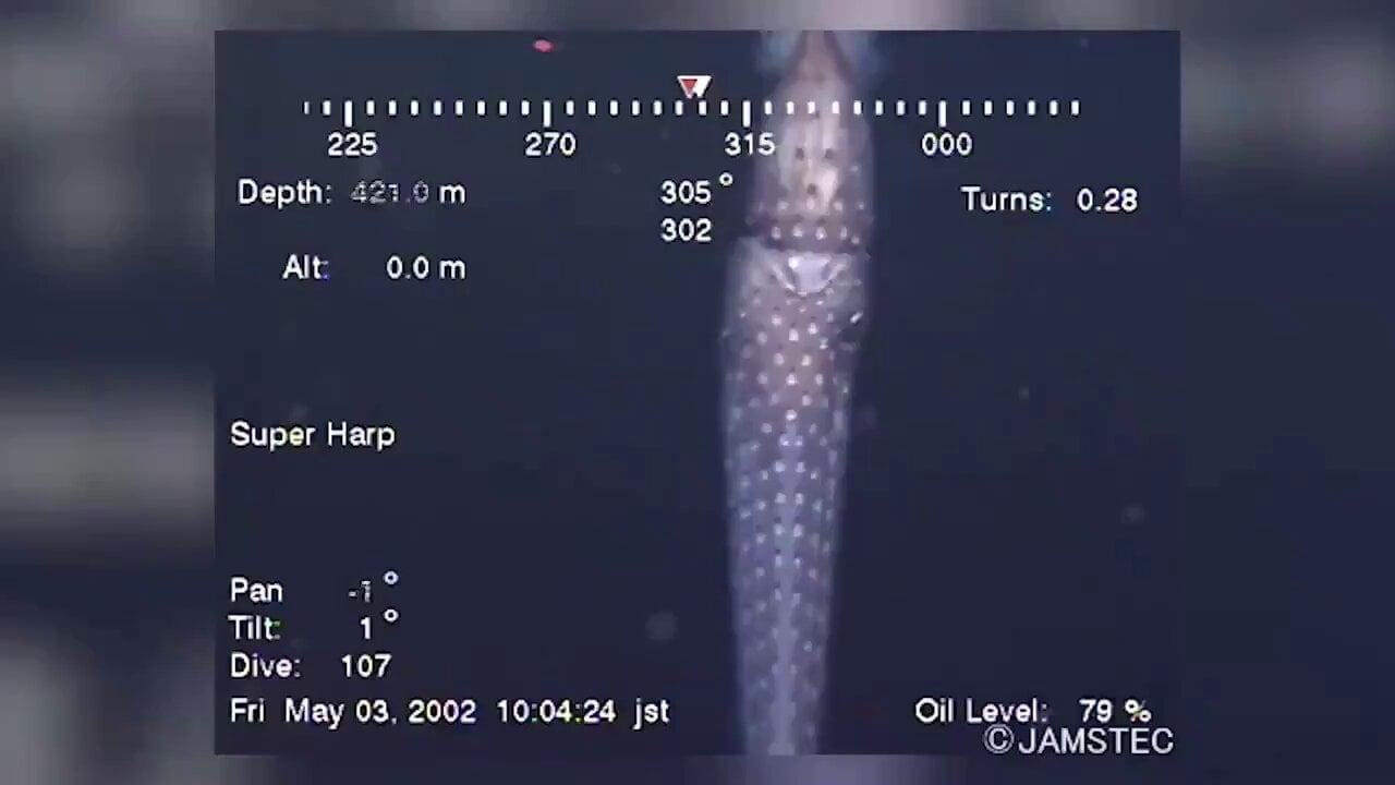 This Unidentified Submersible Object (USO) was recorded in 2002 near ...