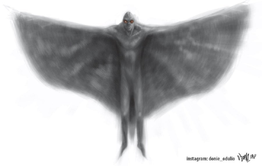 Woman Reports Unsettling Series of Strange Events Following Winged ...