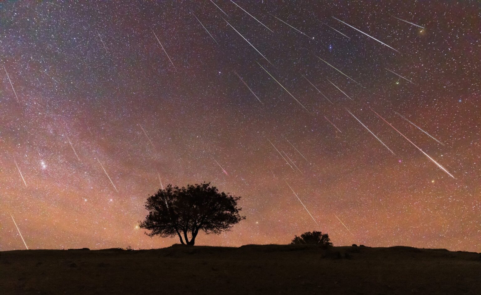 Draconids: Maps show where you'll have the best of seeing "tremendous ...