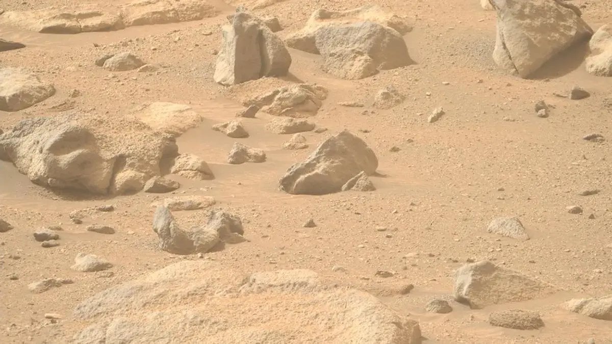 “Face” photographed on Mars by the Perseverance rover? NASA's rover on ...