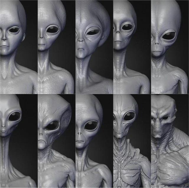 What’s your theory on Grey aliens? Are they extraterrestrials, time ...