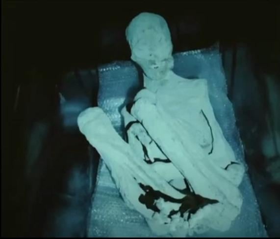 Nazca researchers tease the discovery of a new human-sized Tridactyl in ...