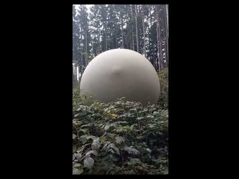 Landed egg shaped craft of non human origin found by hiker in Russia ...