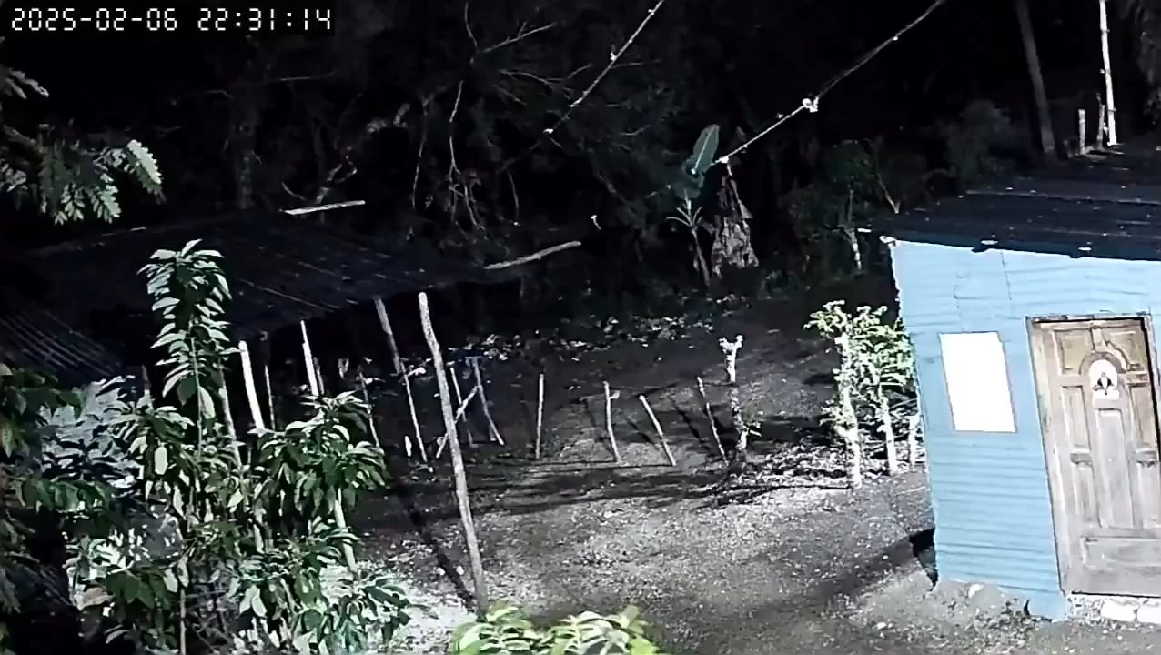 A video captured by a security camera recorded a humanoid-looking ...