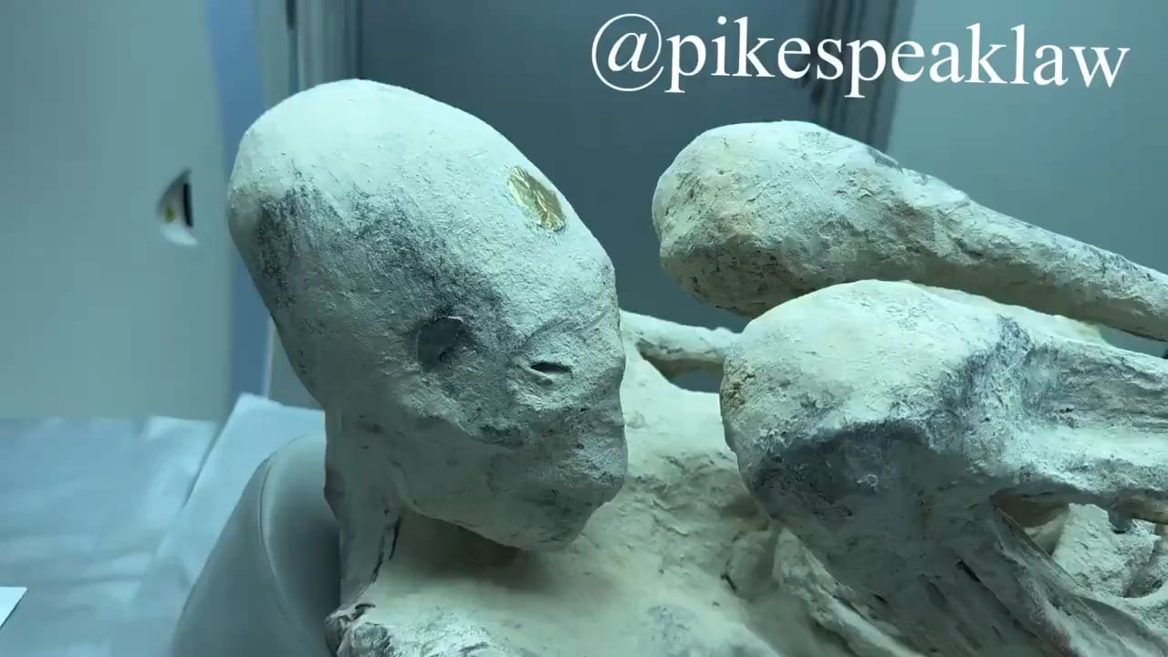 Montserrat is the first known tridactyl specimen found to have died ...