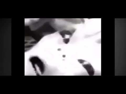 Autopsy of grey biological android/clone from Roswell crash recovery ...