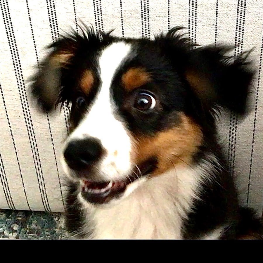 The John Hutchison Effect, where is John now? His seemingly obscure ...