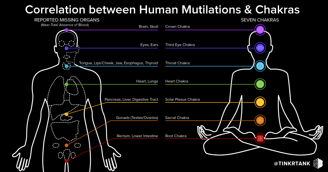 Human/Cattle Mutilations & Chakras—What’s the Connection? 🧠🫀🛸 - UFO FEED